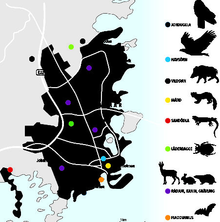 Kalmars vilda invånare - här finns de - Hem & Hyra
