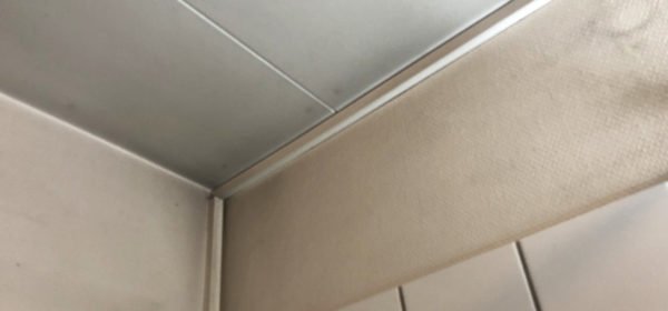 Hyresvärd Om Mystiska Fläckar Finns Inget Som Heter Häxsot Hem Hyra