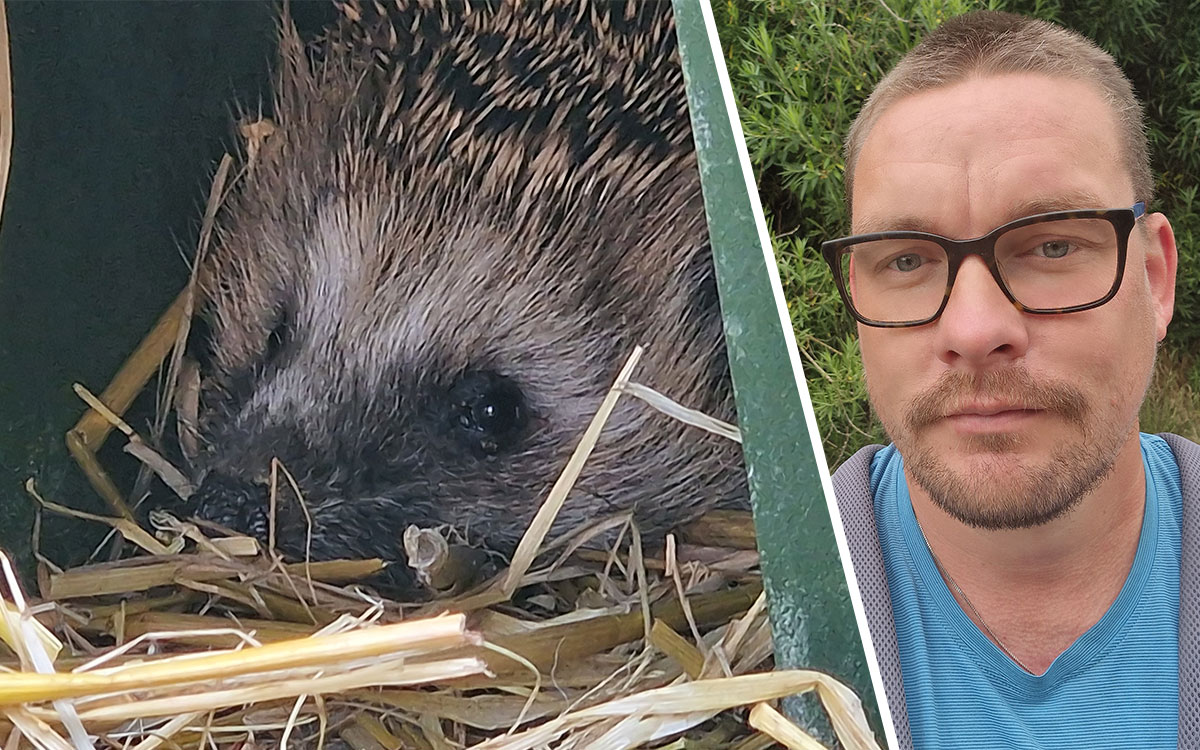 Här fixar hyresgästerna tak över huvudet åt taggiga grannar - Hem & Hyra