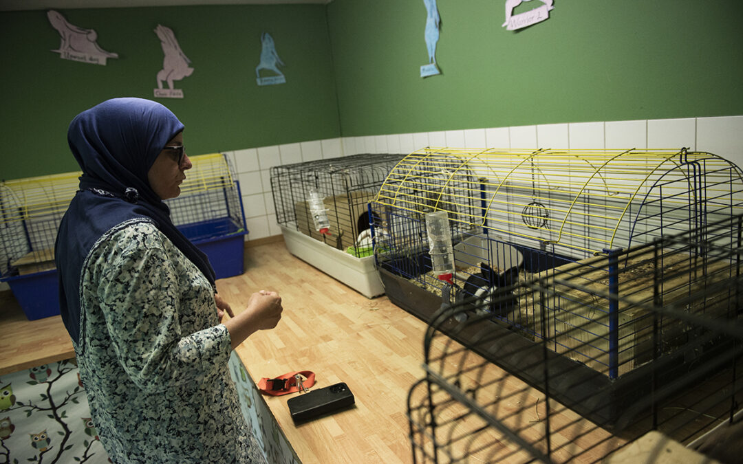 Safija ställer upp för barnen med kramar och djur - Hem & Hyra