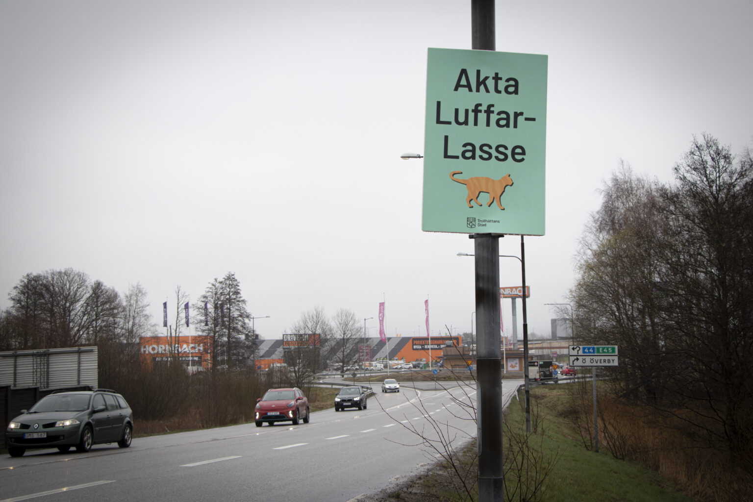 Kändiskatten Luffar-Lasse förenar tiotusentals människor: "Han sprider ...