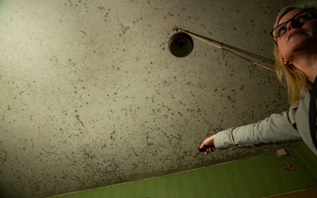 Nytt hopp för Doris efter 10 år med värstingvärden: "Tror knappt att ...